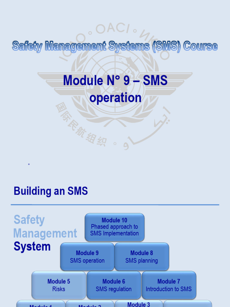 ICAO SMS Module #9 - SMS Operation 2008-11 (E) | PDF | Risk Management ...