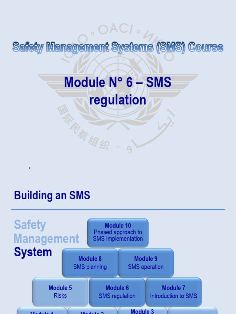 ICAO SMS Course Module 6 Overview | PDF | Safety | Risk