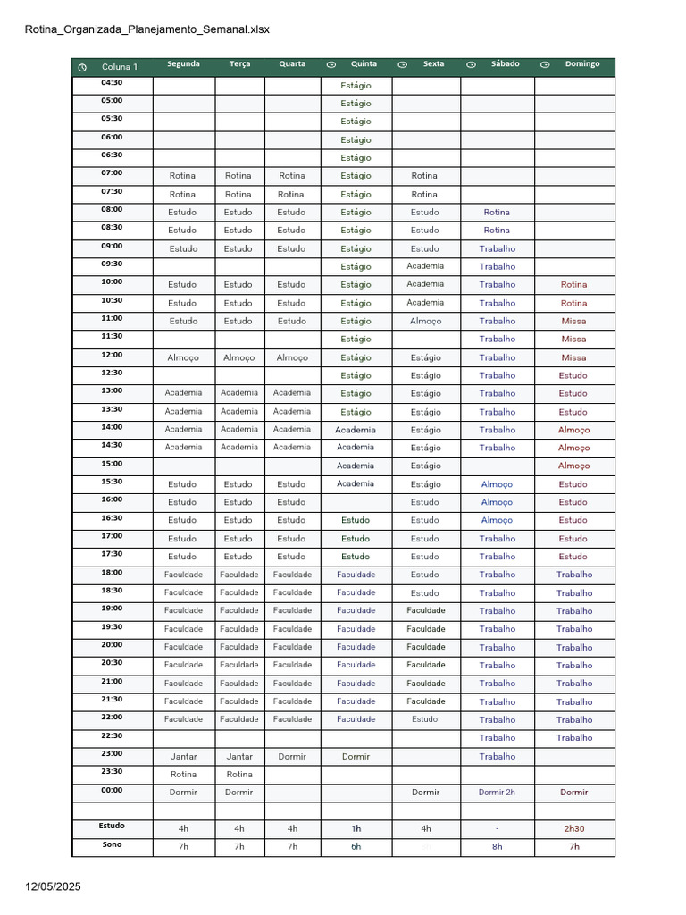 Rotina - Organizada - Planejamento - Semanal - XLSX - Sheet1 | PDF