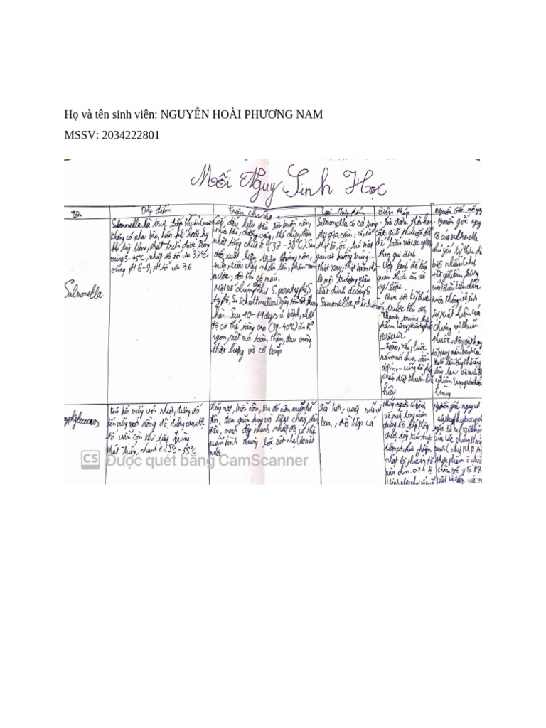 Bài tập PTSP | PDF