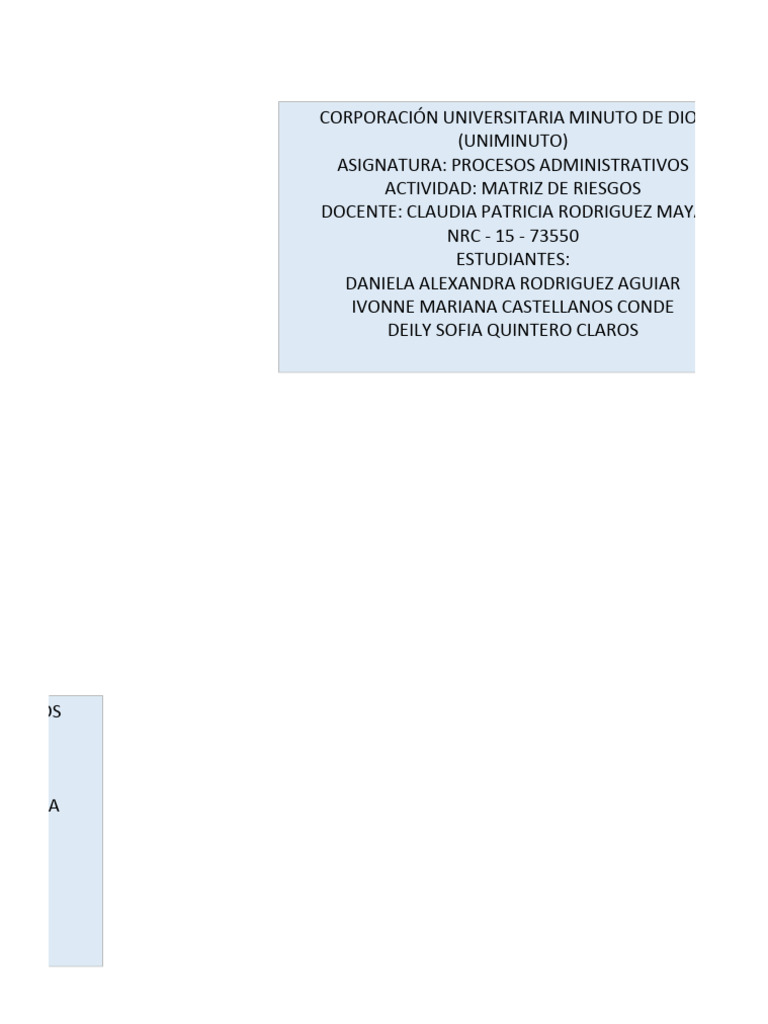 Matriz de Riesgos en Ferretería RYA | PDF