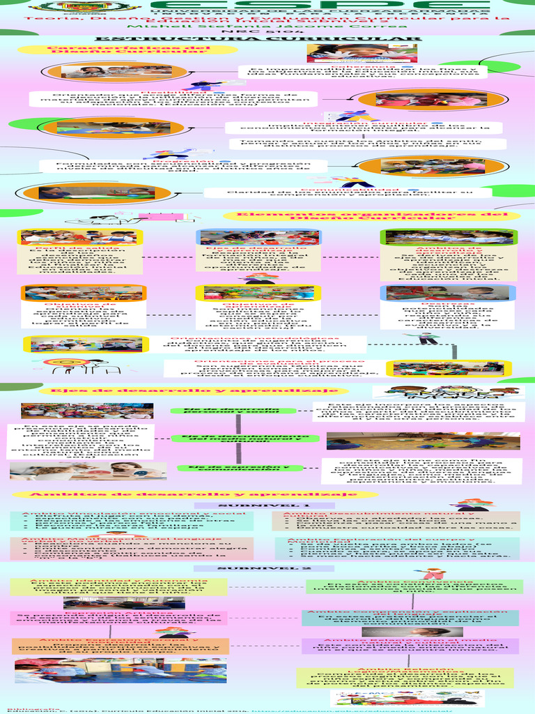 Estructura Curricular | PDF | Aprendizaje | Las emociones