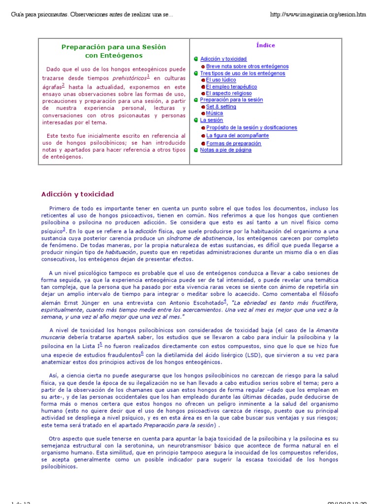 Guía para Psiconautas. | PDF | Mente inconsciente | Chamanismo