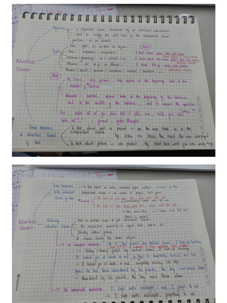 Mind Maps Week 12 AG | PDF