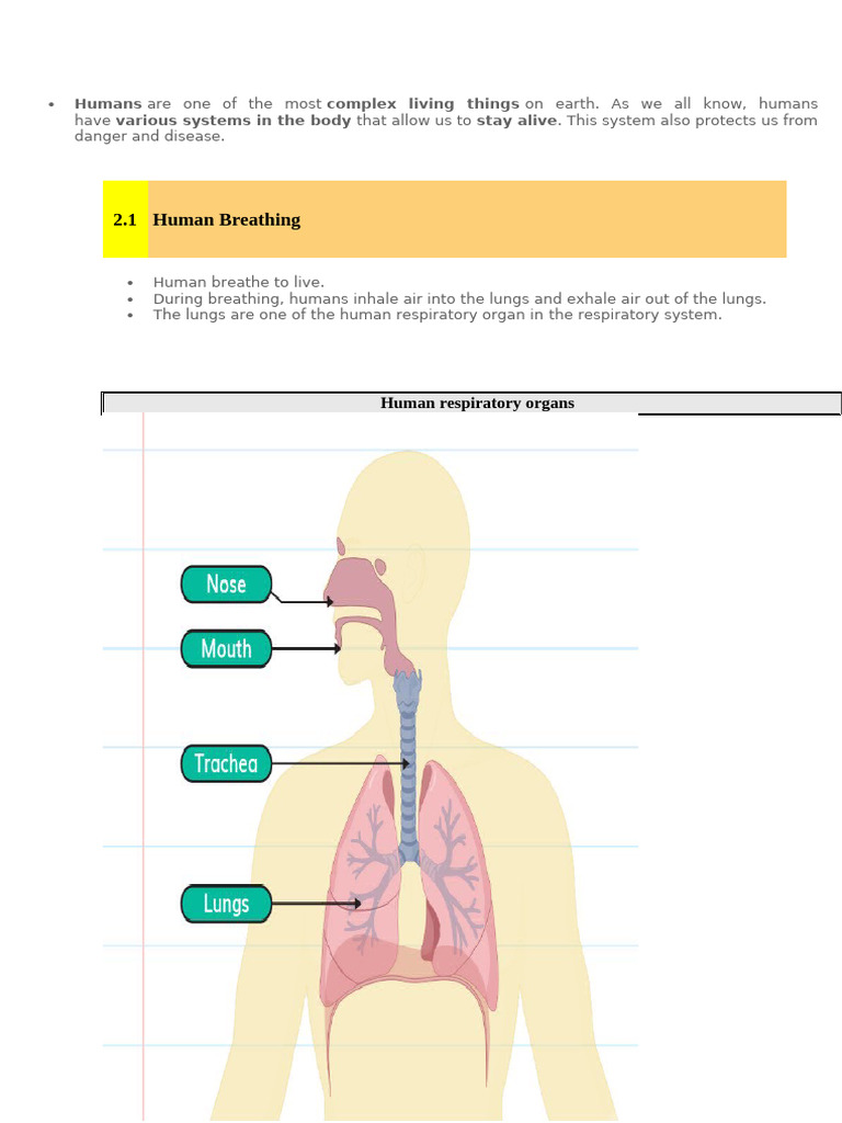 Humans Unit 2 | PDF