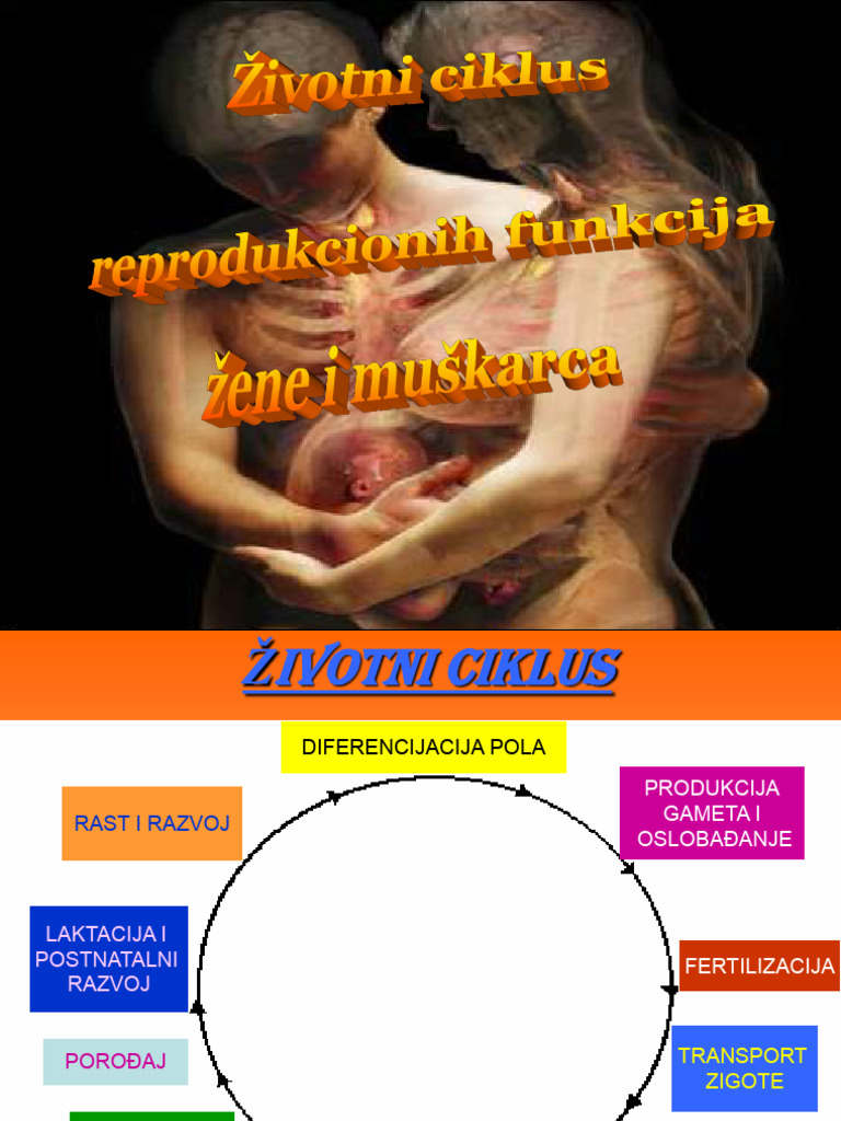 Httpstudije - Med.bg - Ac.rswp Contentuploads201911SEMINAR Zivotni ...