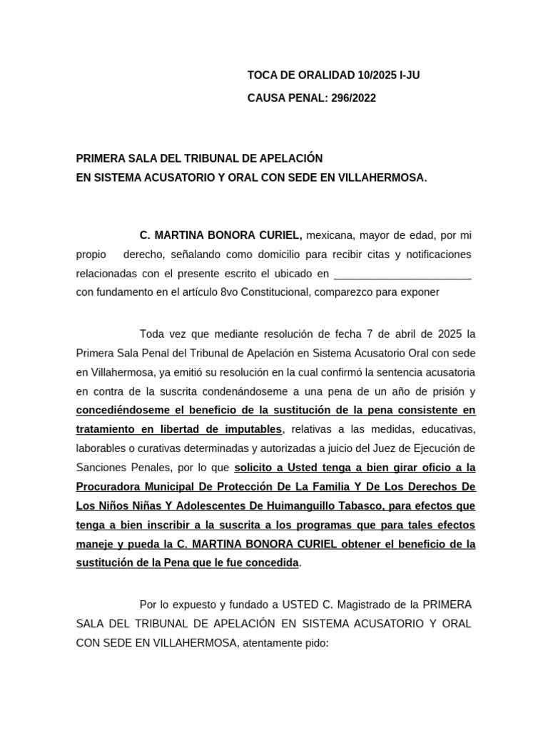 Solicitud de Sustitución de Pena - Martina Curiel | PDF | Apelación ...