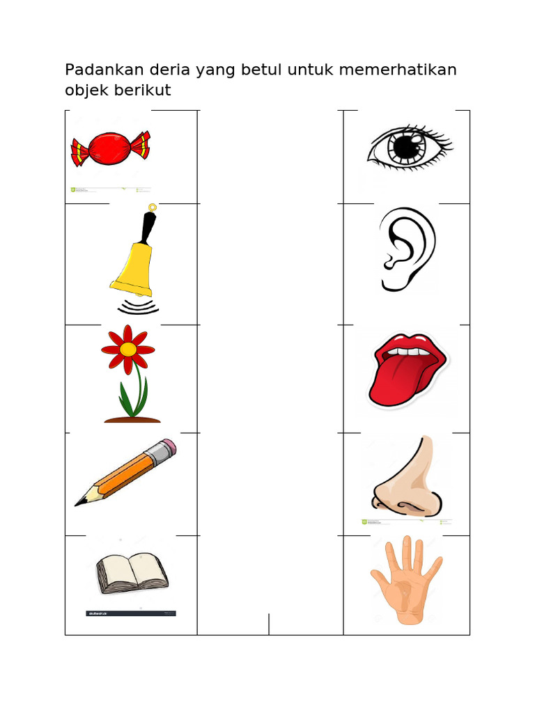 Padankan deria yang betul untuk memerhatikan objek berikut | PDF