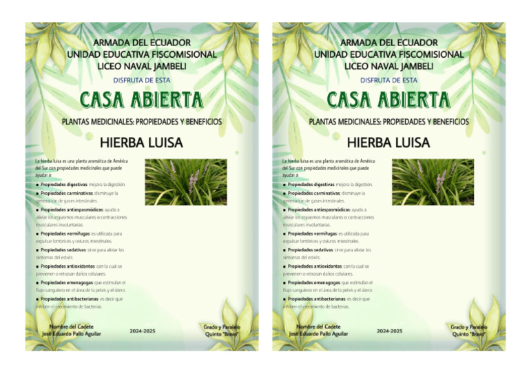 Casa Abierta Hierba Luisa | PDF