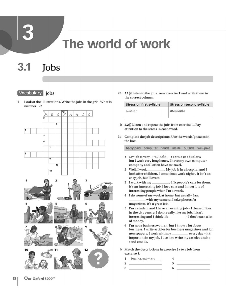 Jobs and Present Simple Questions EXERCISES | PDF