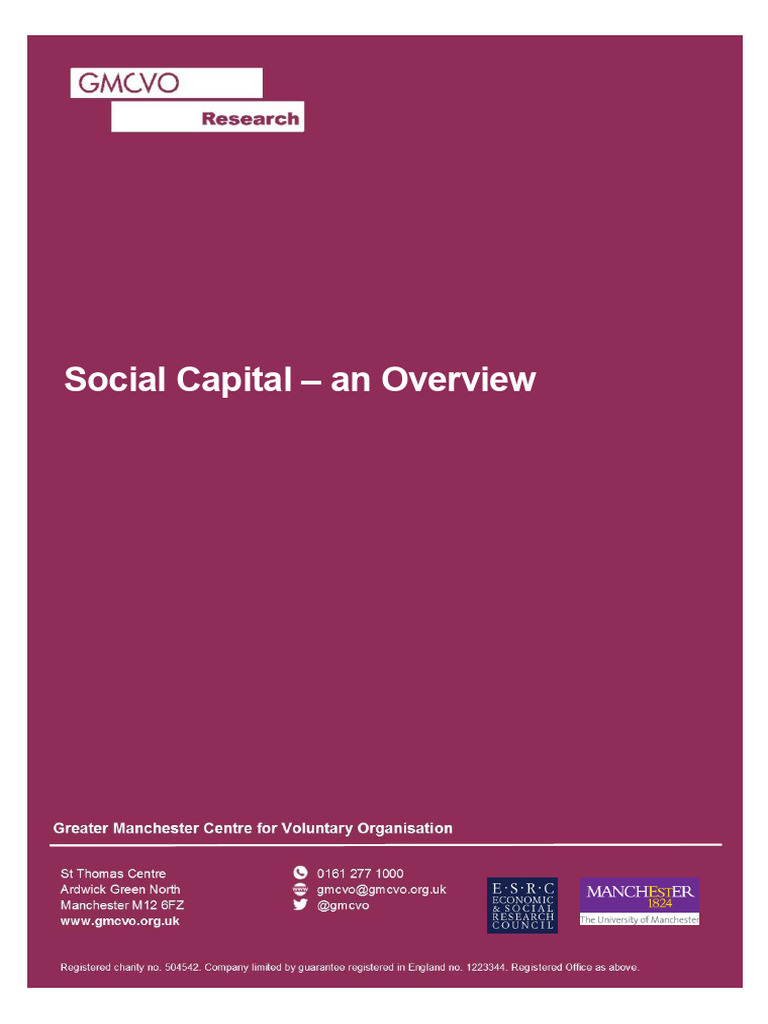 Social Capital - An Overview | PDF | Social Capital | Sociology