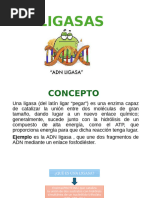 Clasificación de Ligasas en Bioquímica | PDF | Biomoléculas | Biología ...