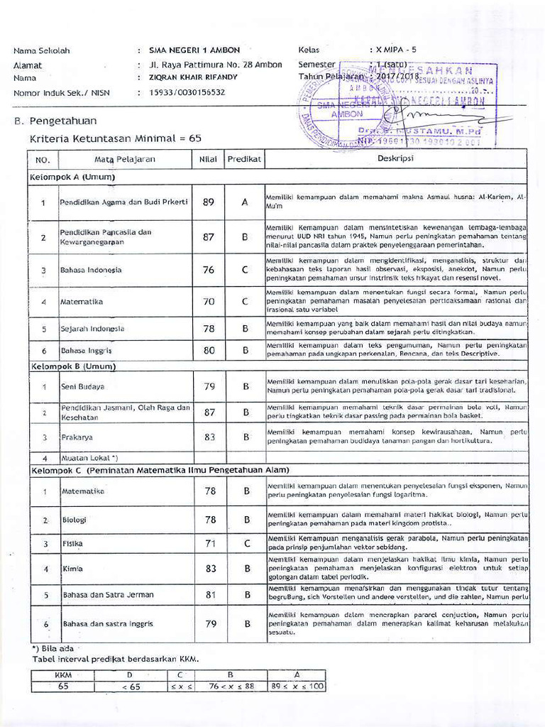 RAPORT Compressed | PDF