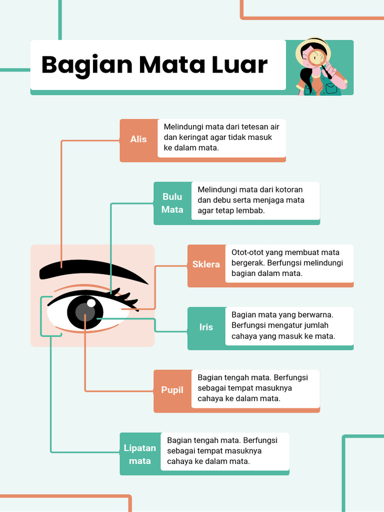 Bagian Mata Luar Poster Pendidikan IPAS Hijau Jingga Kotak Ilustrasi | PDF