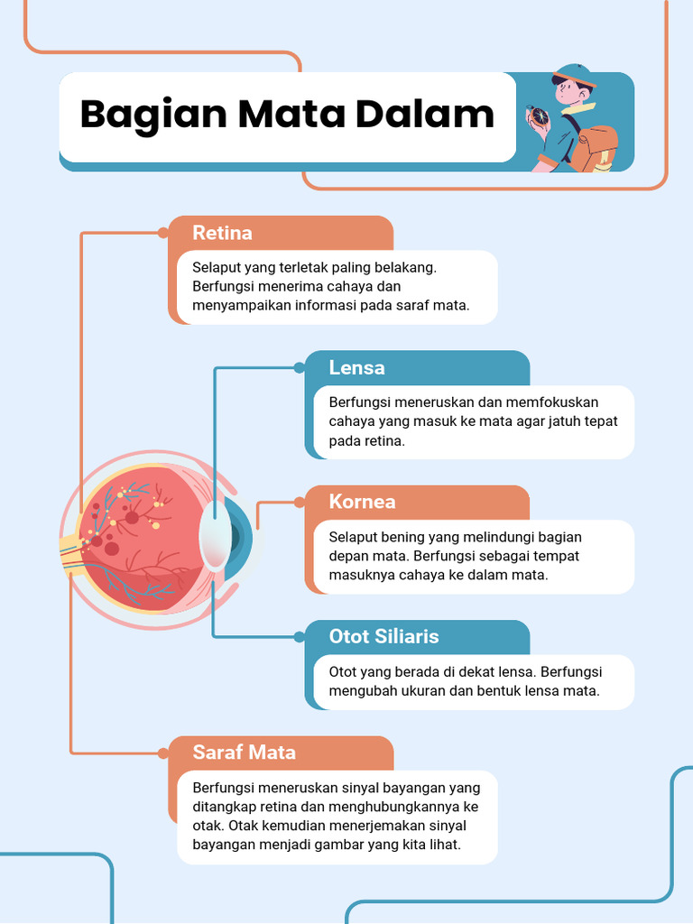Bagian Mata Dalam Poster Pendidikan IPAS Biru Jingga Kotak Ilustrasi ...