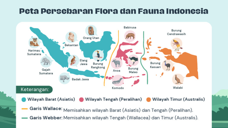 Keanekaragaman Flora Dan Fauna Di Indonesia Presentasi Pendidikan Hijau ...