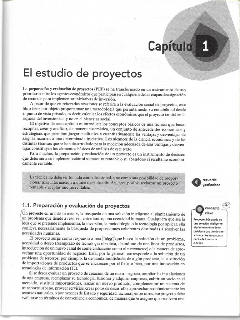 Capítulo 1 Form y Prep de Proyectos Sapag Edición 6ta | PDF