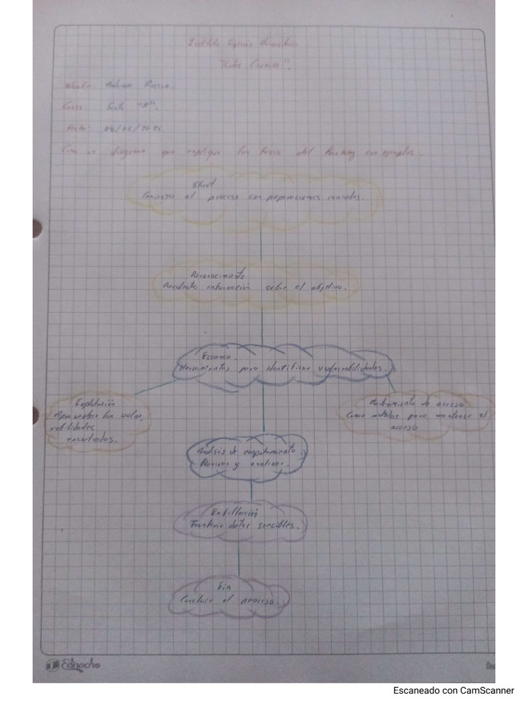 Crear Un Diagrama Que Explique Las Fases Del Hacking | PDF