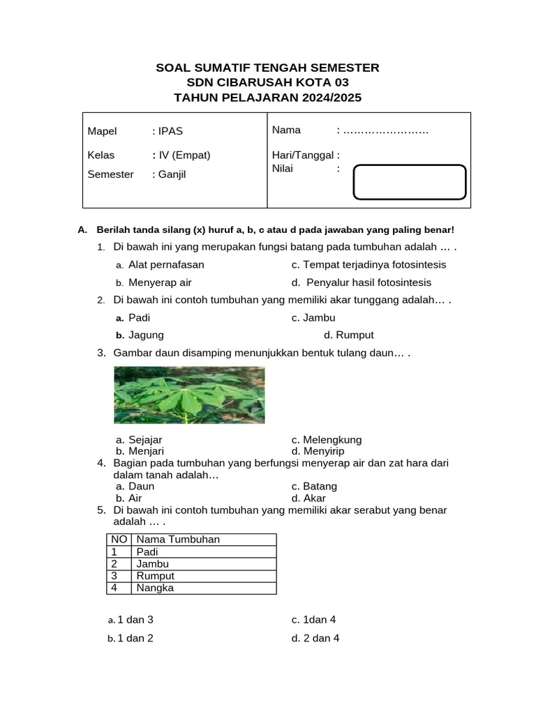 SOAL SUMATIF TENGAH SEMESTER IPAS Kls 4 | PDF