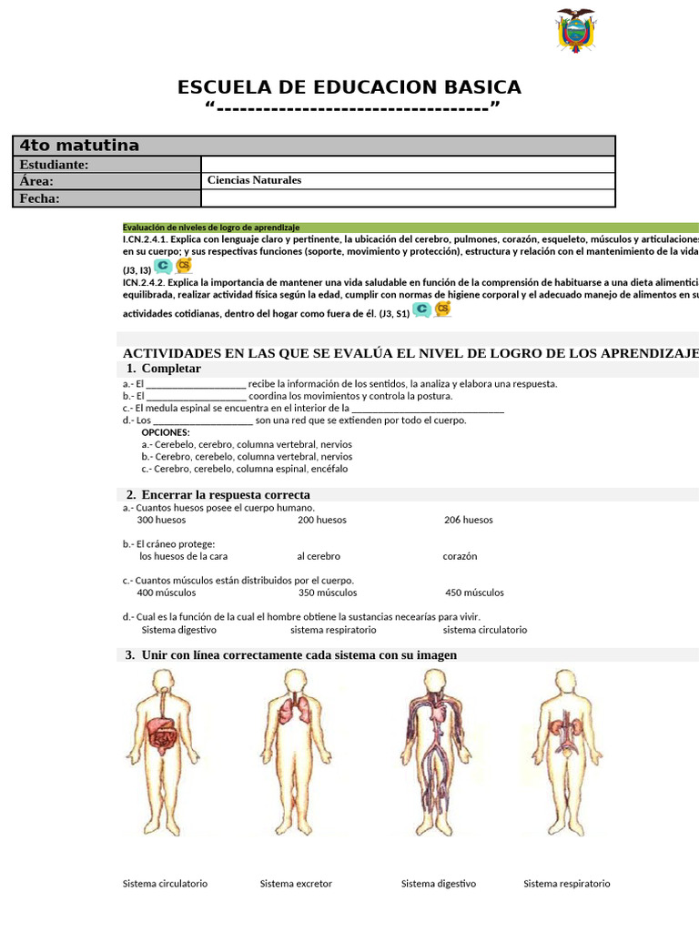 4to CCNN Examen 2do Trimestre | PDF | Sistema digestivo humano | Sistema circulatorio