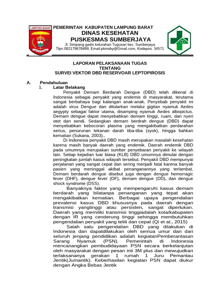 Survei Vektor DBD di Sumberjaya | PDF