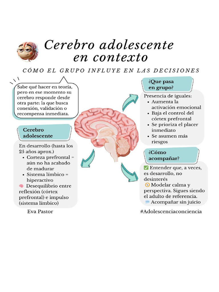 Cerebro Adolescente | PDF