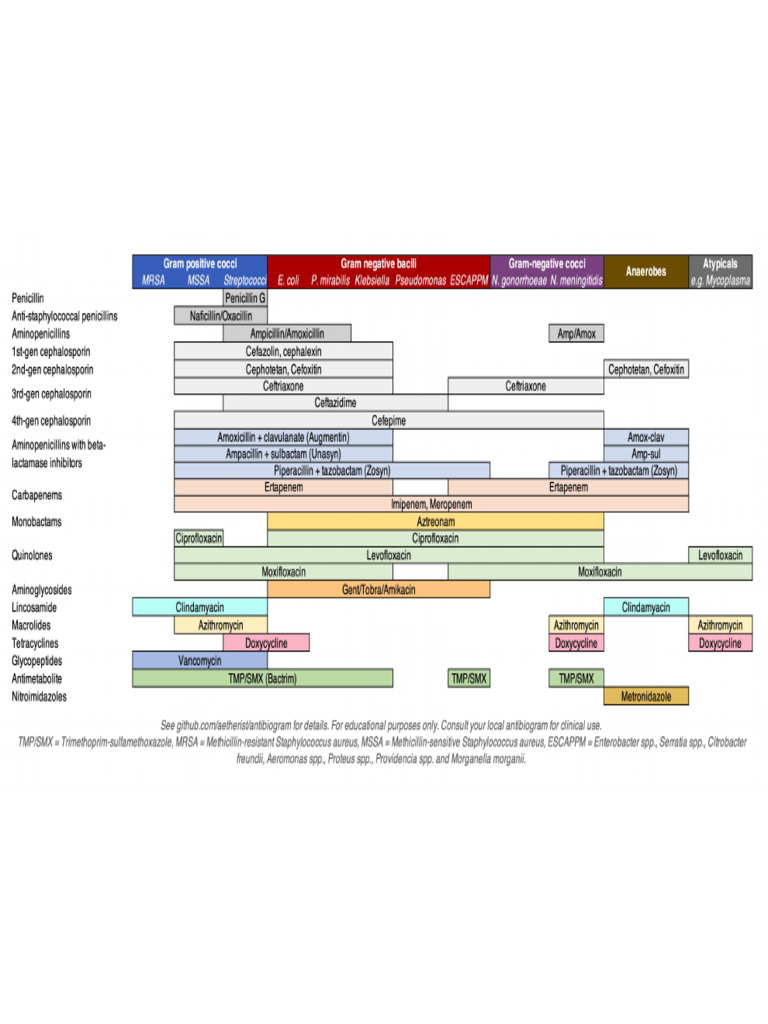 Antibiotics Coverage Diagram | PDF