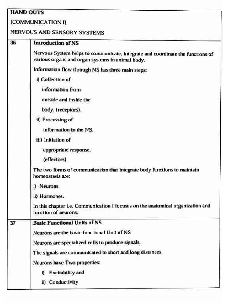 Introduction Animal Nervous System | PDF