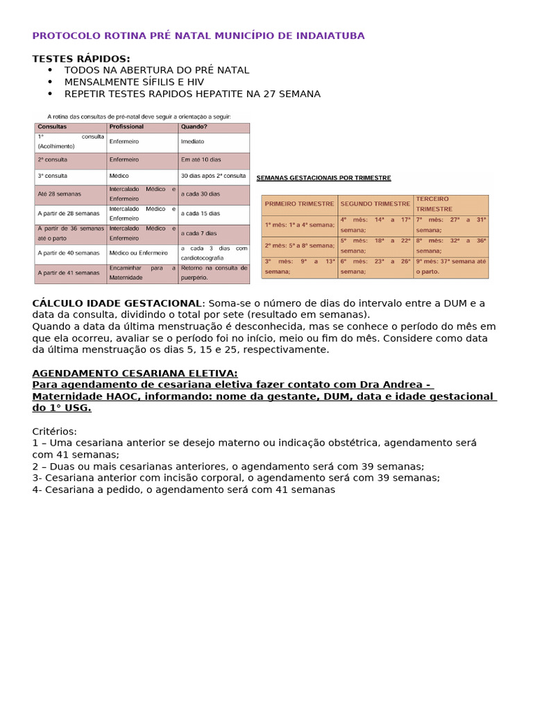 Protocolo Rotina Pré Natal Município de Indaiatuba | PDF | Gravidez ...