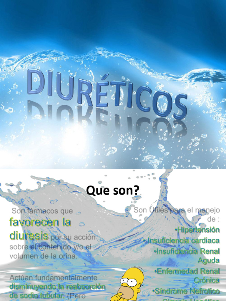 Diureticos (2)-1 | PDF | Riñón