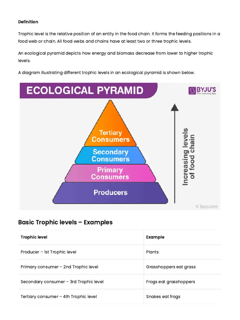 Biology Trophic-Level-Diagram | PDF | Food Web | Biomass (Ecology)