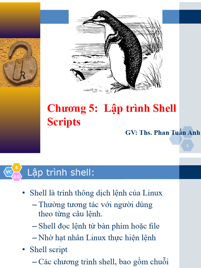 Bai 5 Lap Trinh Trong Moi Truong Shell | PDF