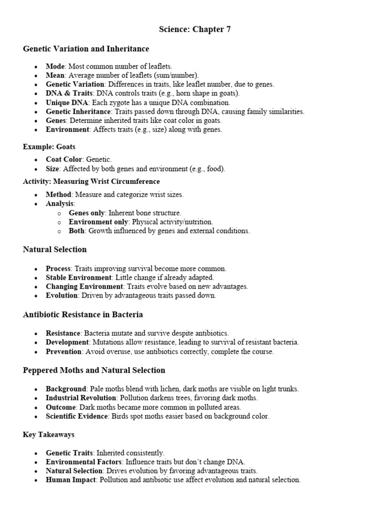 Chapter 7 Pdf