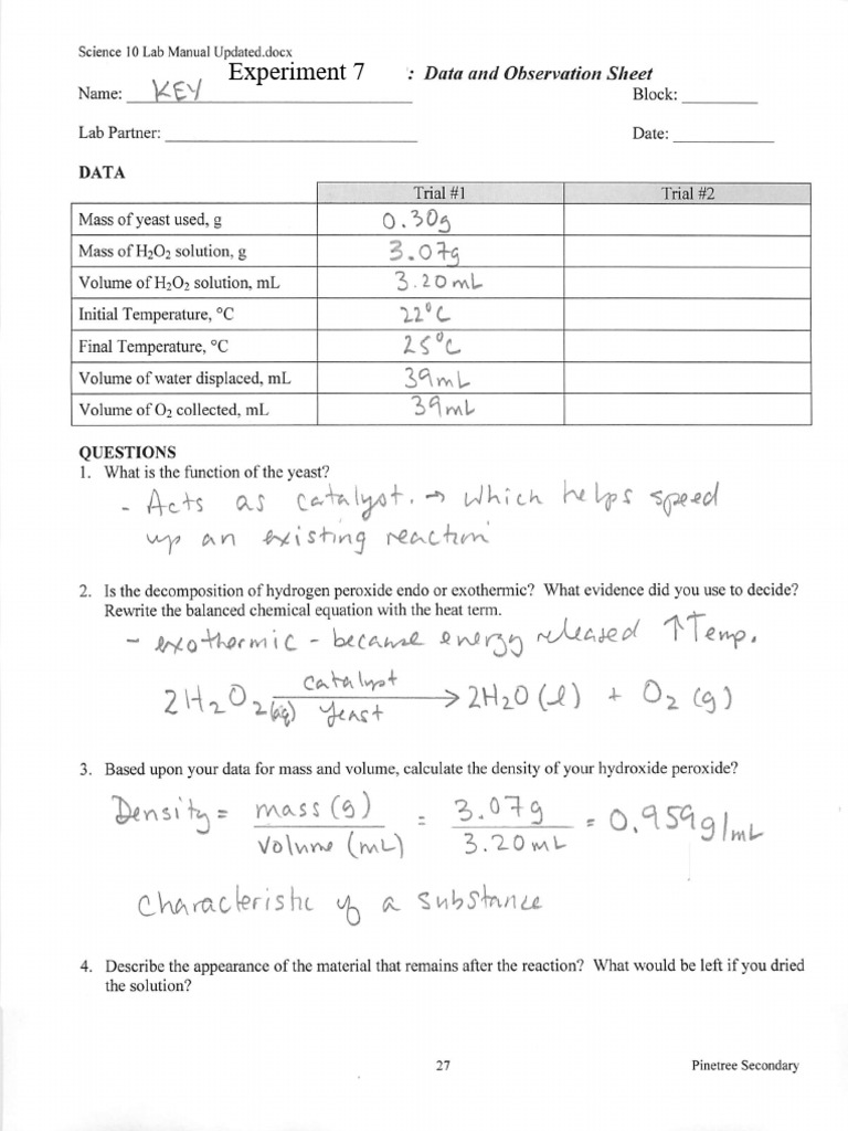 Lab 07 Decomposition Ans | PDF