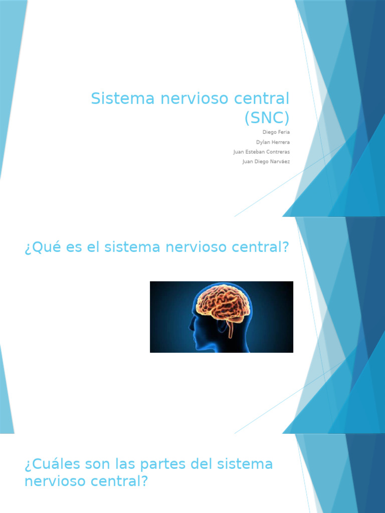 Sistema Nervioso Central (SNC) | PDF