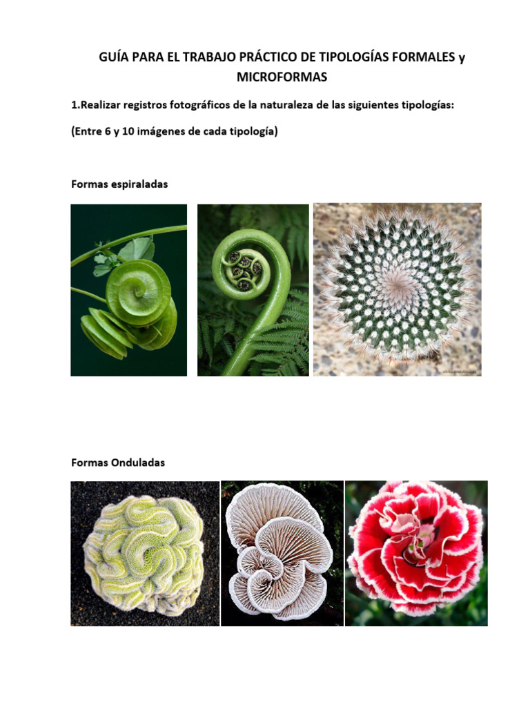 Tipologías Formales y Microformas-guía Tp | PDF