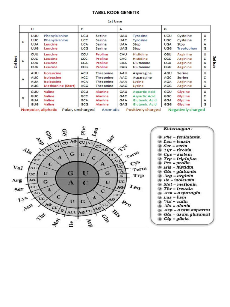 TABEL KODE GENETIK | PDF