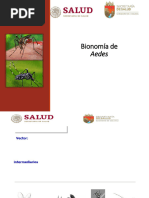 Ciclo Del Aedes Aegypti | PDF | Mosquito | Aedes aegypti