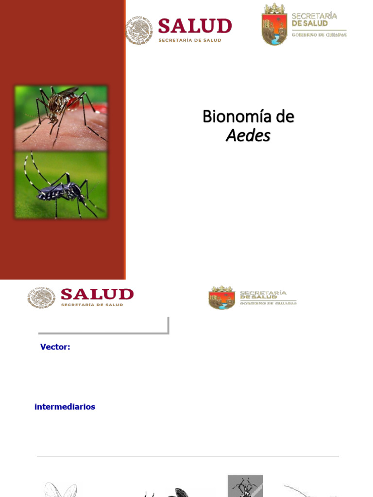 3 Bionomia Del Genero Aedes | PDF | Mosquito