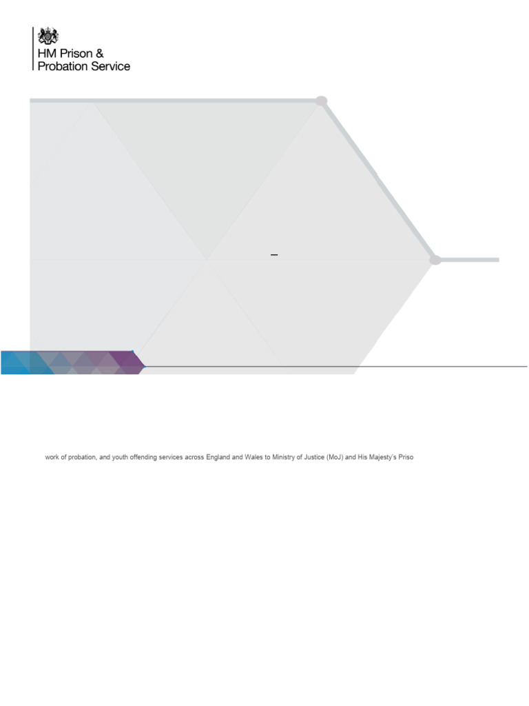 HMP_Five_Wells_-_HMIP_Action_Plan | PDF