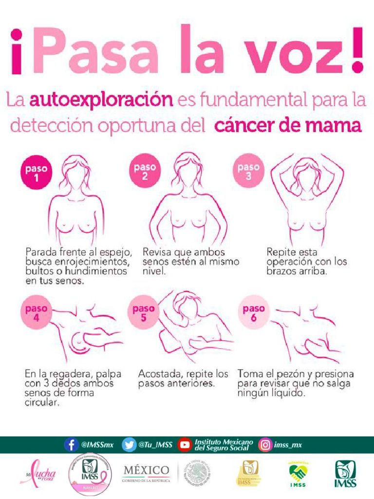 Infografias Cancer de Mama | PDF