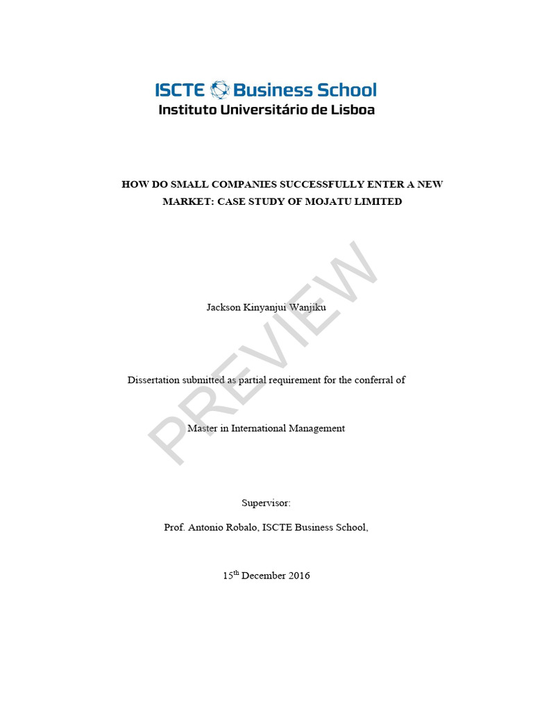 How Do Small Companies Sucessfully Enter A New Market Case Study of ...