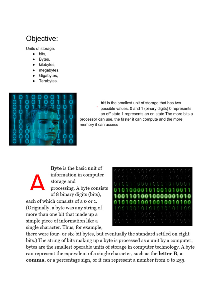 Section 1 Obj3.B - Units of Storage | PDF
