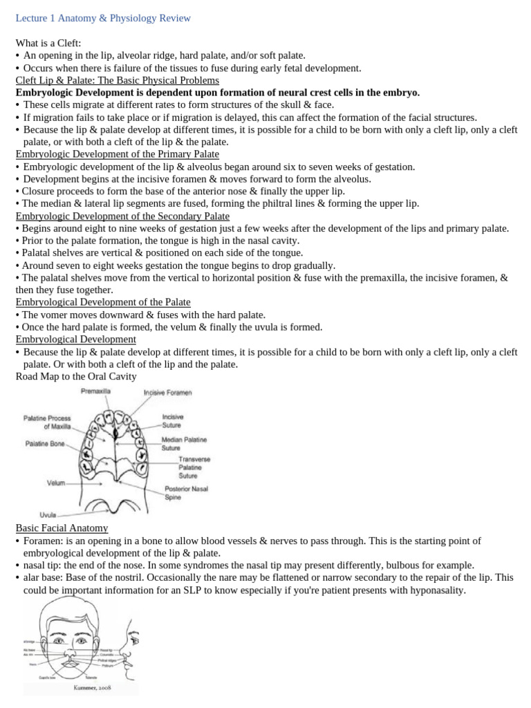 Lecture 1 Anatomy and Physiology Review | PDF | Human Nose | Primate Anatomy