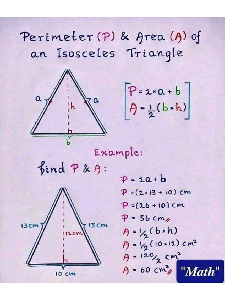 X Math Project | PDF