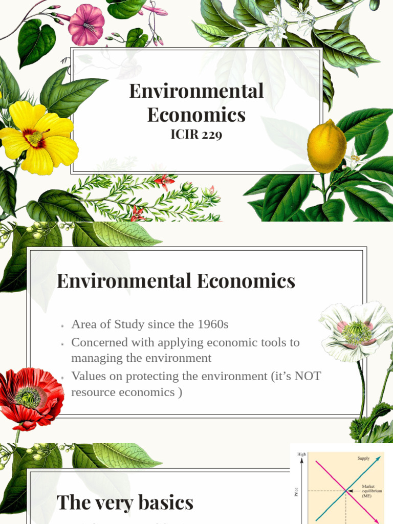 WK 2 ICIR 229 - Environmental Economic | PDF | Clean Development Mechanism | Economies