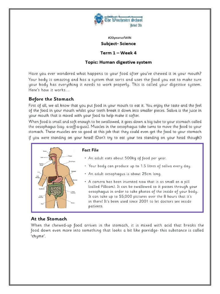 Science Week 4 Resources | PDF