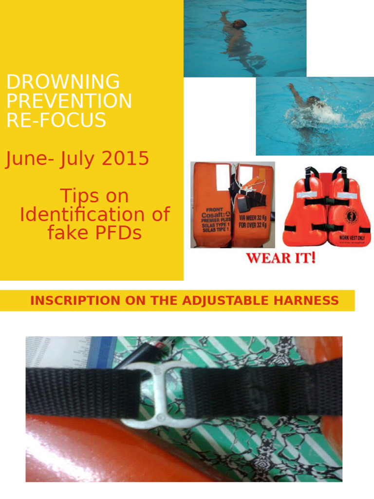 PFD Type 5 Authentication tips2 | PDF