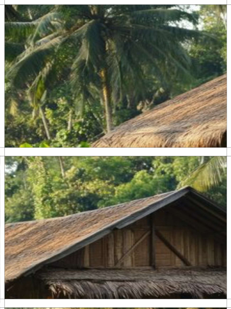 CHAP 63 TARPAPEL - Compressed | PDF