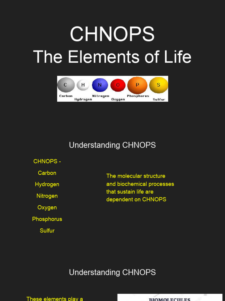 CHNOPS The Elements of Life | PDF